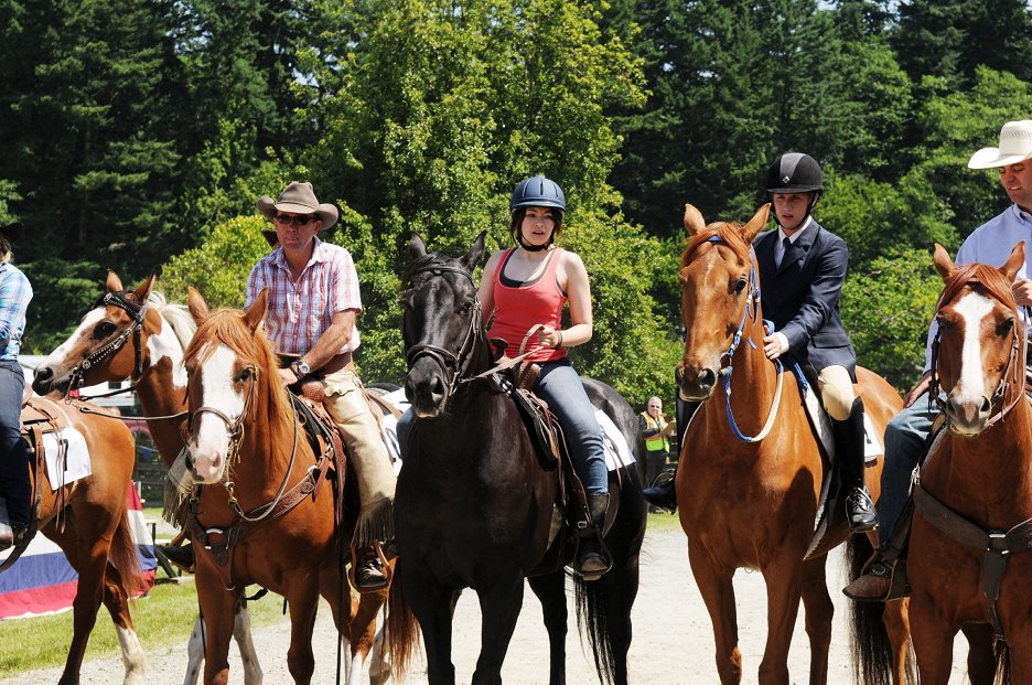 Midnight Stallion (2013) | ČSFD.cz