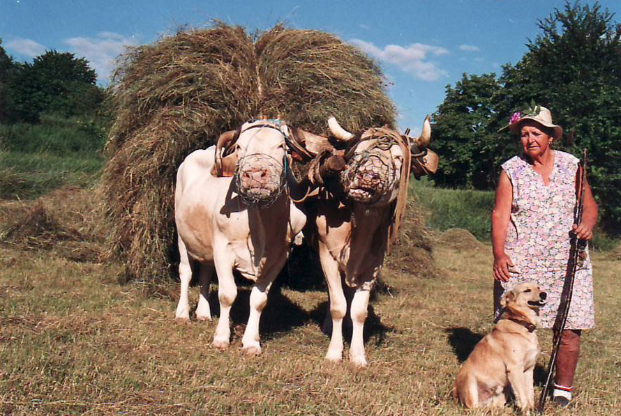 Femme paysanne (2016) | ČSFD.cz