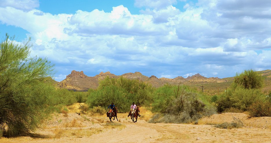 Ztracené zlato (2017) | ČSFD.cz