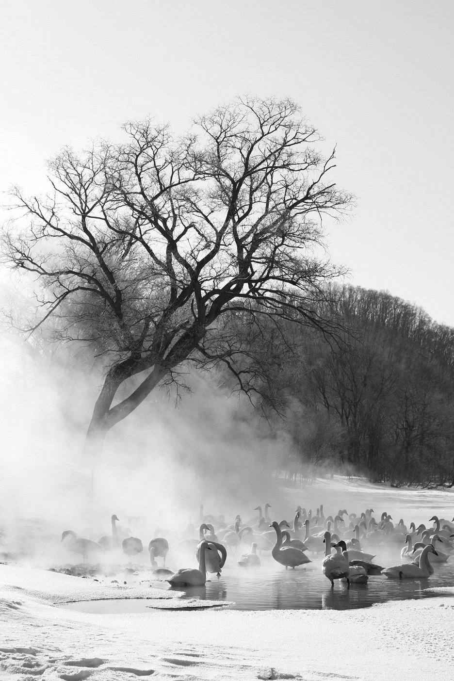 Wildest Islands (2012) | ČSFD.cz