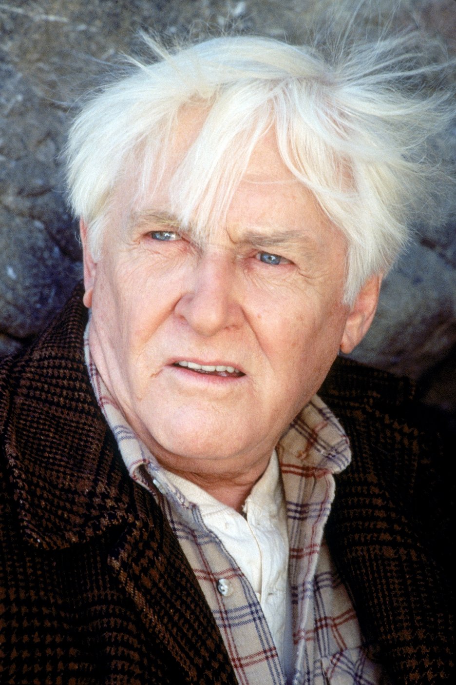 Hart to Hart: Home Is Where the Hart Is (1994) | ČSFD.cz