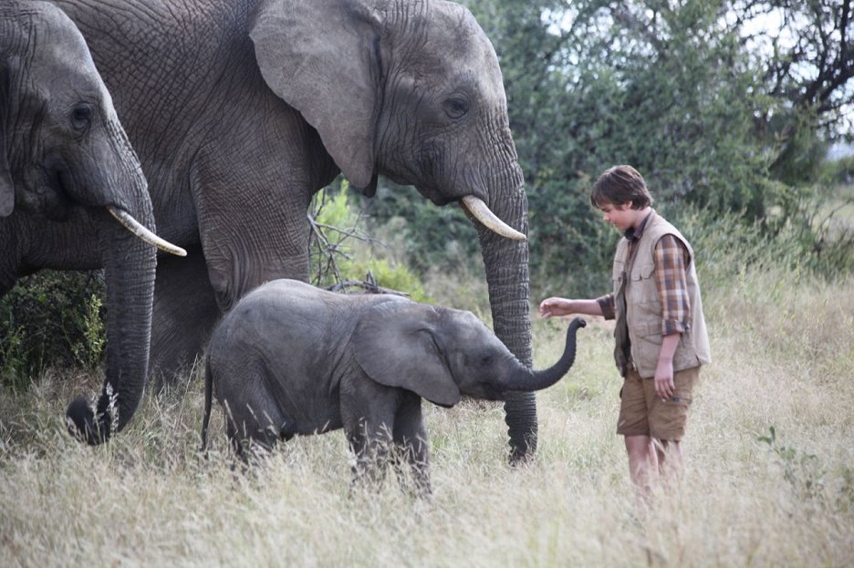 Phoenix Wilder and the Great Elephant Adventure (2017) | Cinematheque ...