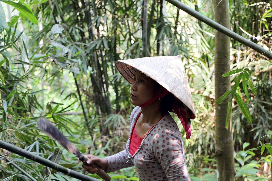 Asia - Secret Lives, Hidden Places - Durch den Dschungel Vietnams ...