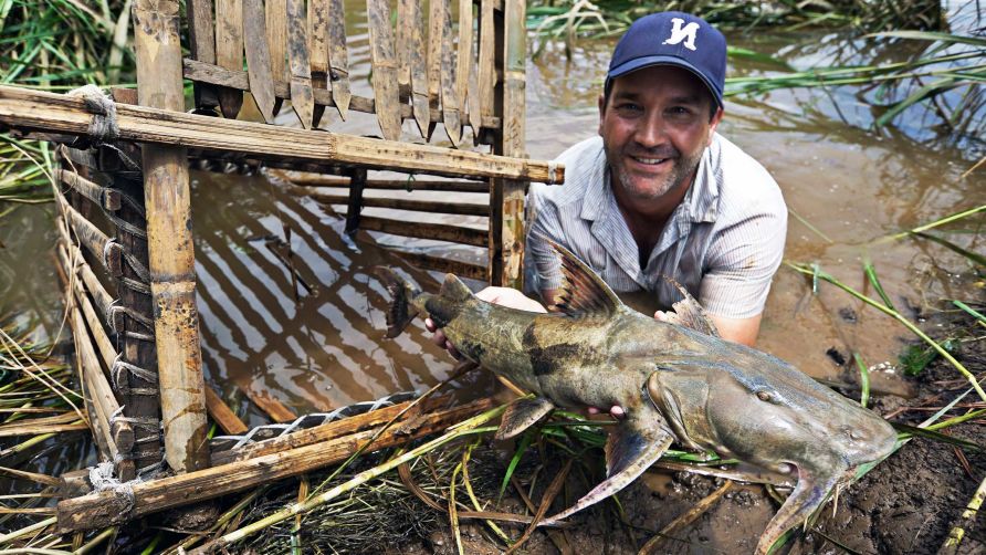 Zebova velká ryba: Ďáblův sumec (2017) | ČSFD.cz