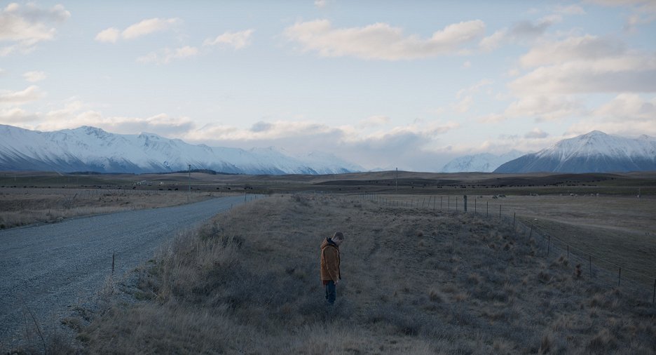 Stray (2018) | ČSFD.cz