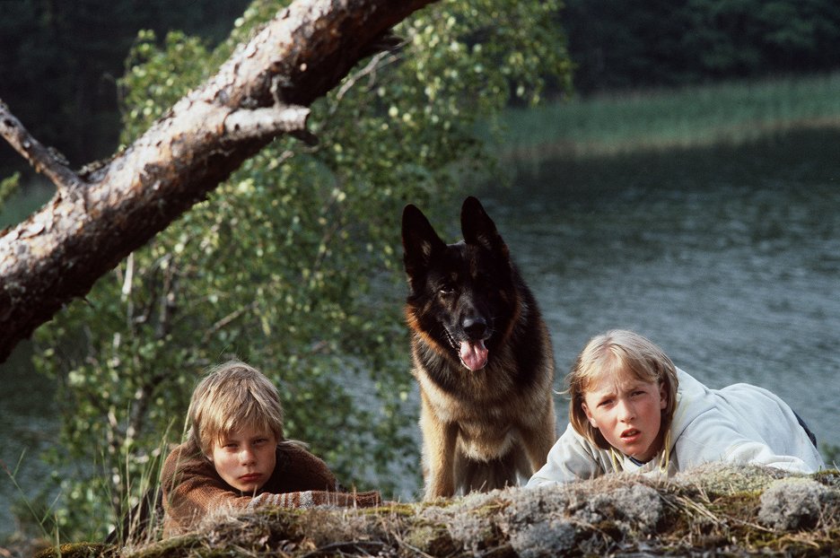 Susikoira Roi - Seikkailu saaristossa (1988) | ČSFD.cz