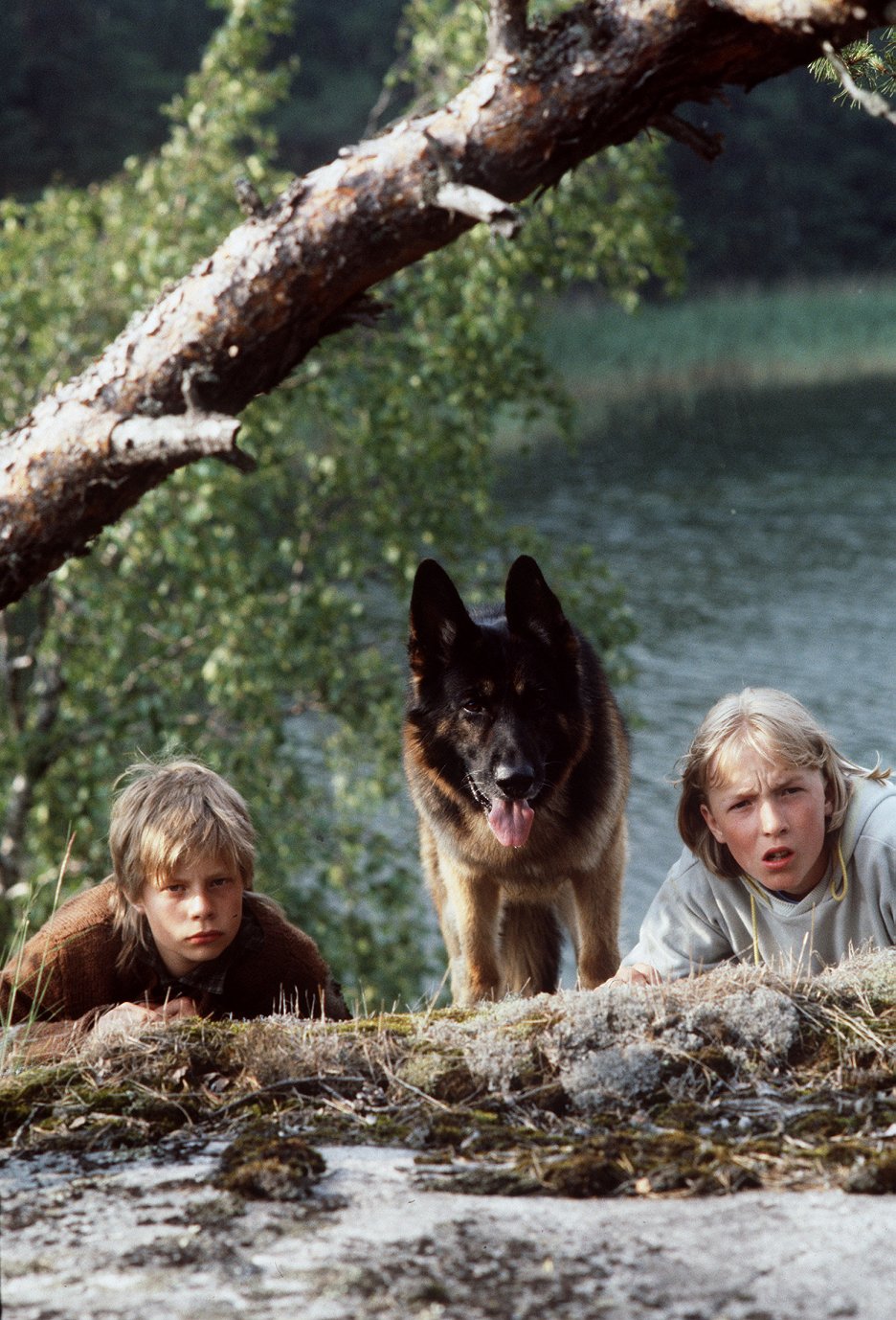 Susikoira Roi - Seikkailu saaristossa (1988) | ČSFD.cz