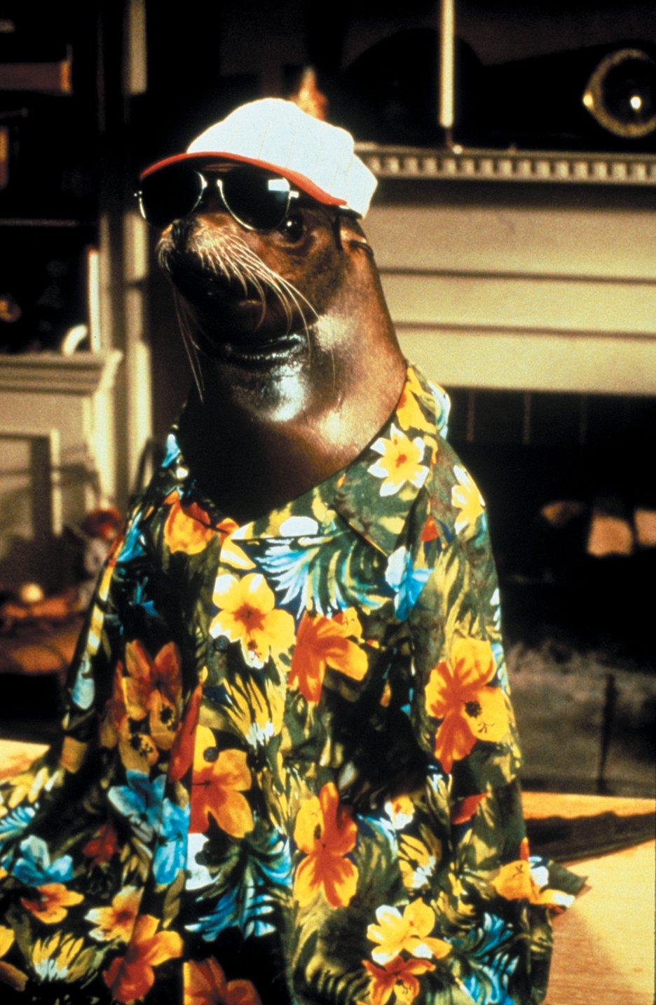 Andre (1994) | ČSFD.cz