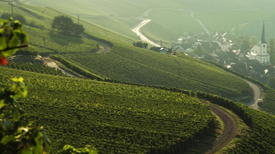 Unentdeckte Mosel - Römer, Wein und Wandern (2016) | ČSFD.cz