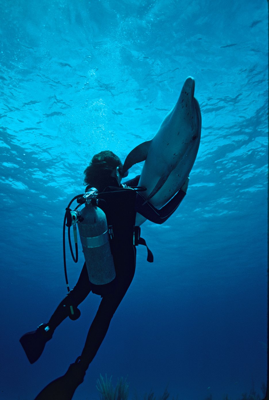 Mission Blue (2014) | ČSFD.cz