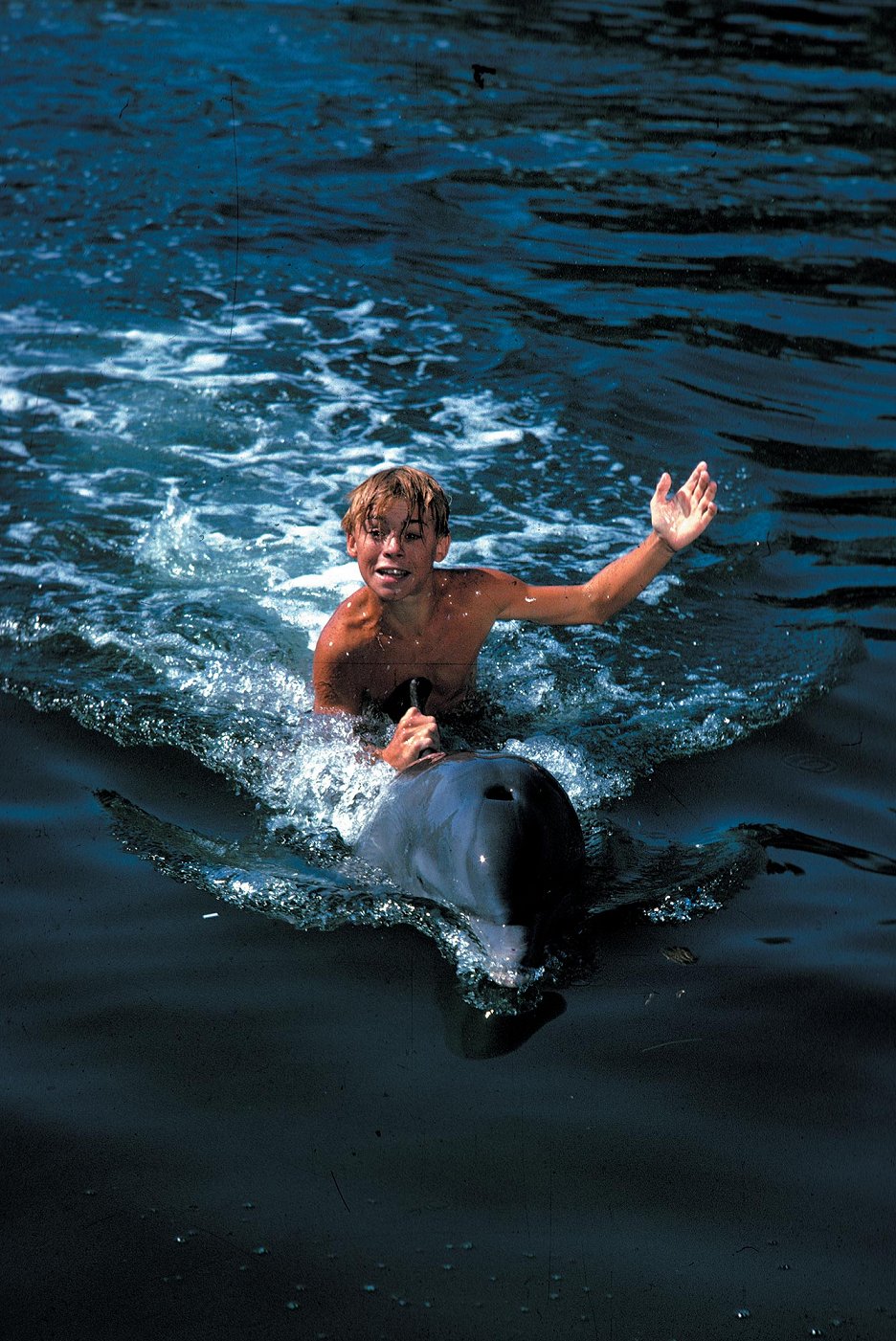 Delfín Filip (1963) | ČSFD.cz