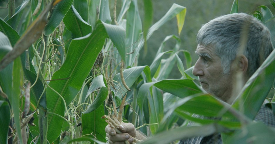 Kandido Uranga | Galerie - Z filmu | ČSFD.cz