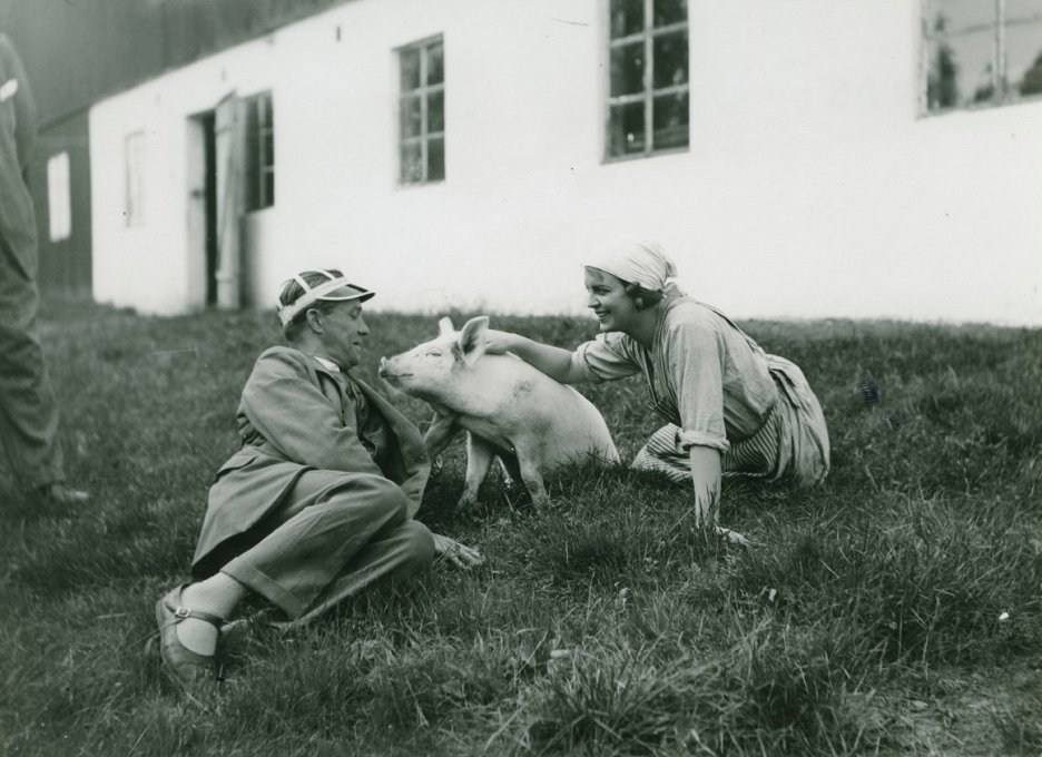 Rågens rike (1929) | ČSFD.cz