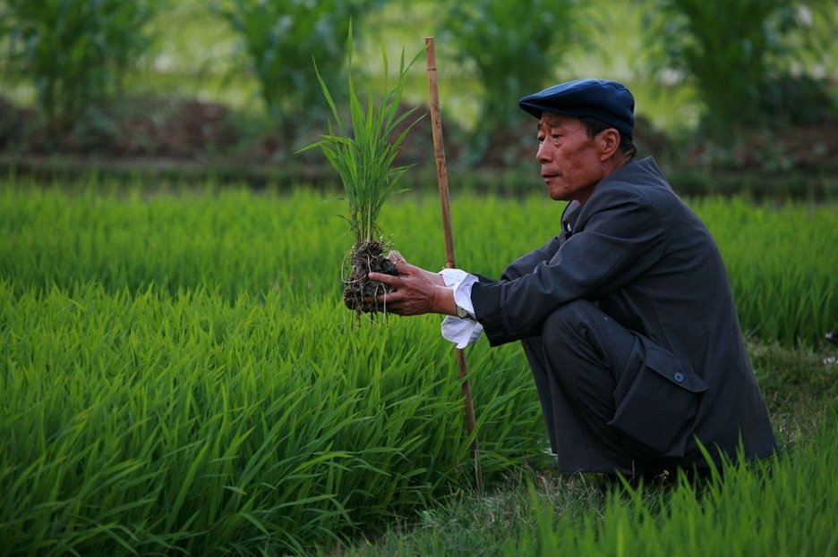 The Mood (2011) | ČSFD.cz