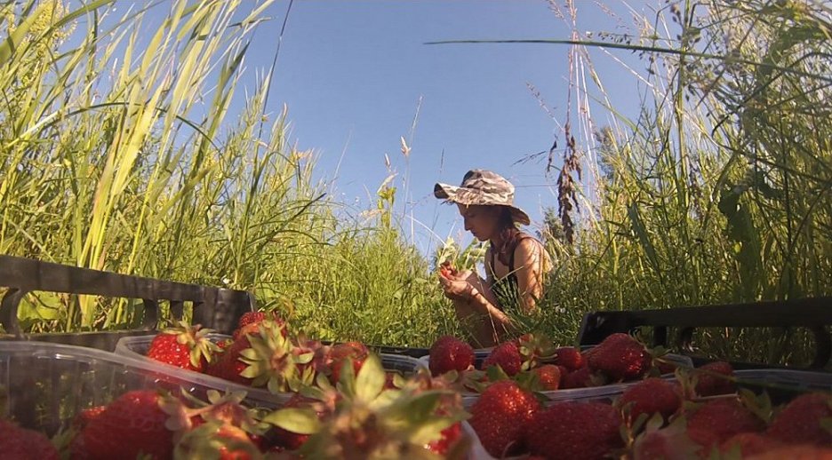 Nastanou další jara (2018) | ČSFD.cz