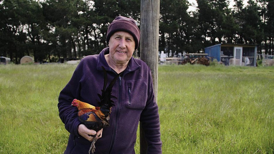 Pecking Order (2017) | ČSFD.cz