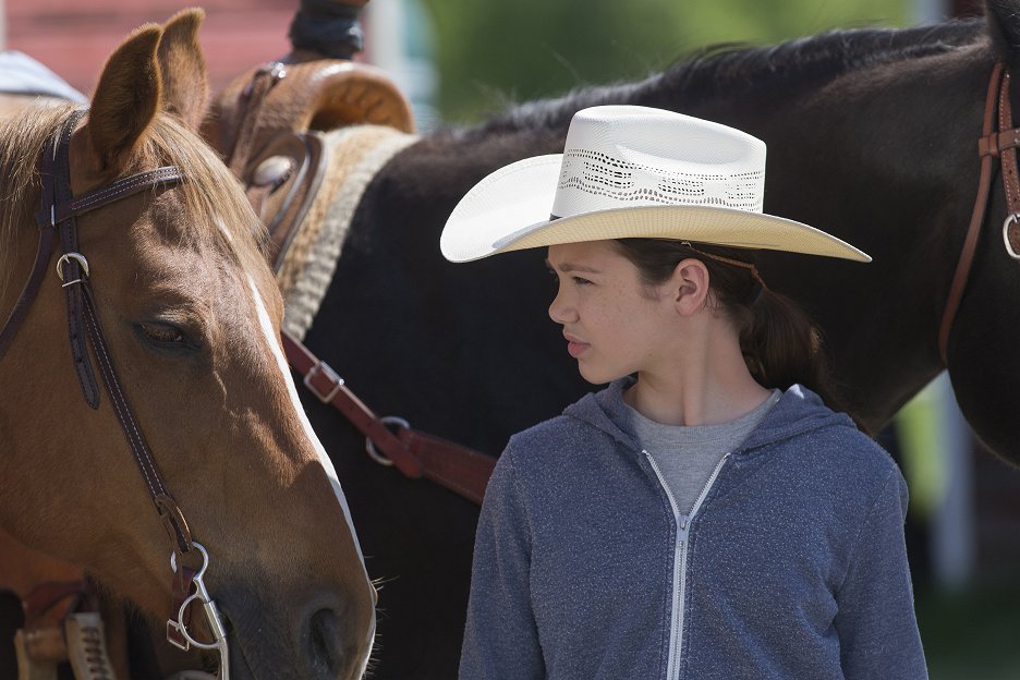 Ranč Heartland - Když jim to došlo a vše vyšlo (S07E04) (2013) | ČSFD.cz