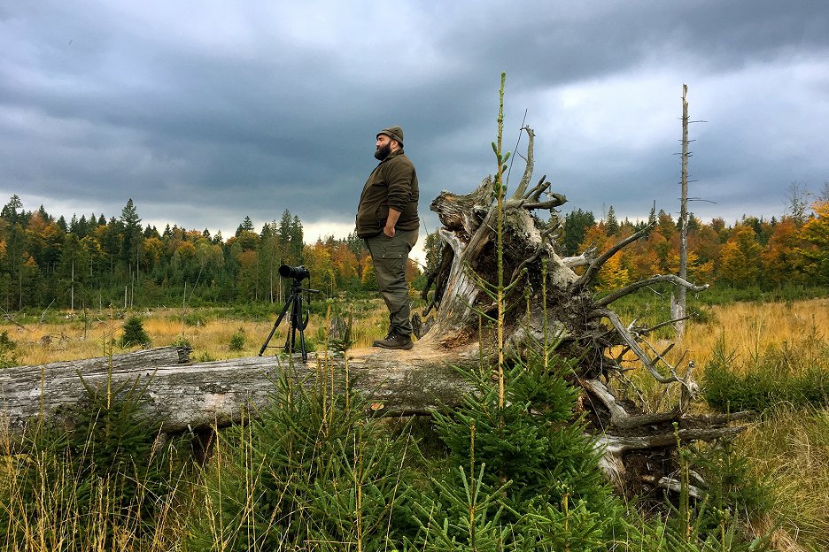 Vom Woife und dem Wald (2018) | ČSFD.cz