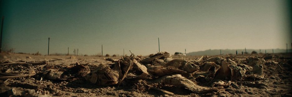 The Farm (2018) | ČSFD.sk