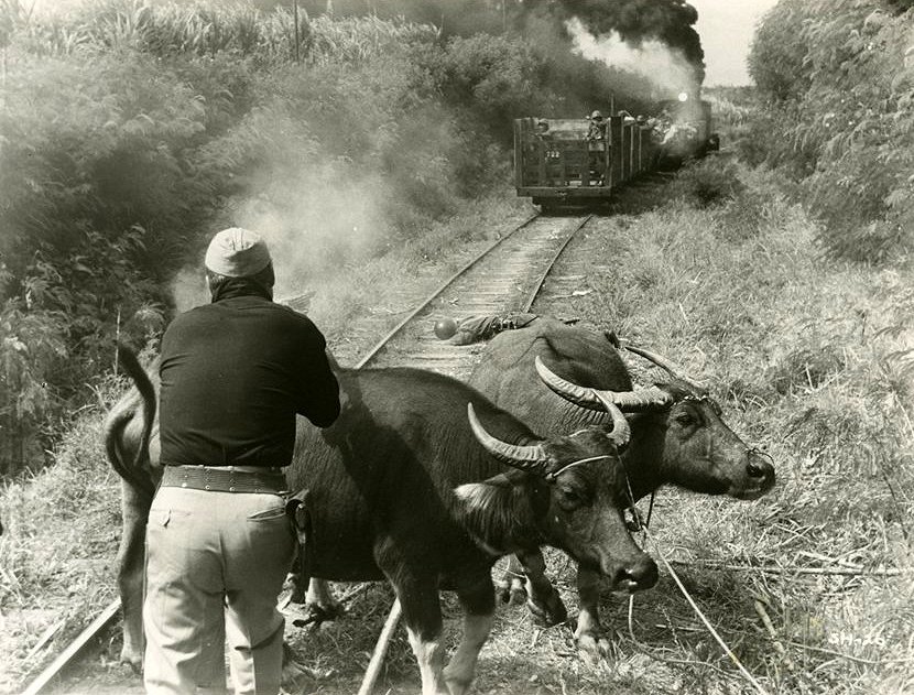 The Steel Claw (1961) | ČSFD.cz
