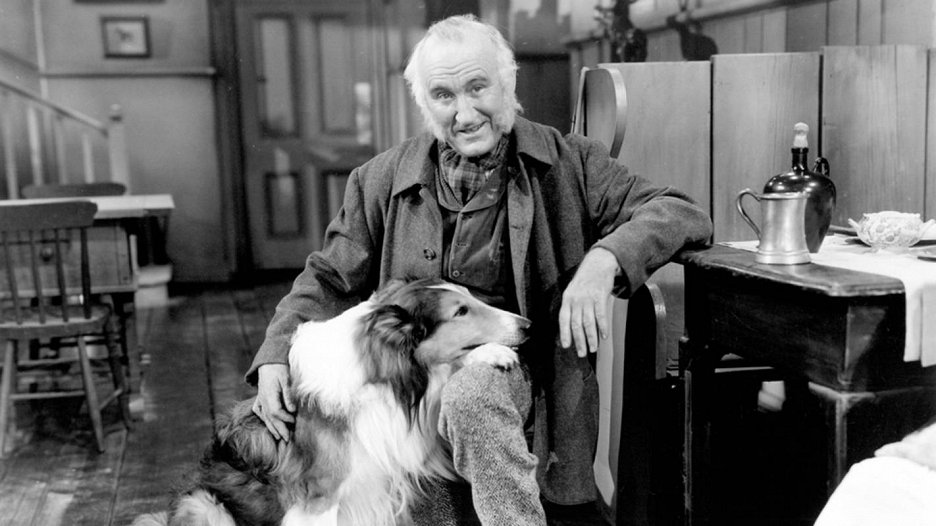 Spor o Lassie (1949) | ČSFD.cz