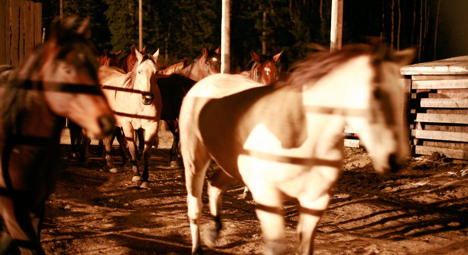 Ranč Heartland - Born to Run (S01E10) (2008) | Galéria - Z epizódy ... Ranč Heartland - Born to Run (S01E10) (2008) | Galéria - Z epizódy ...