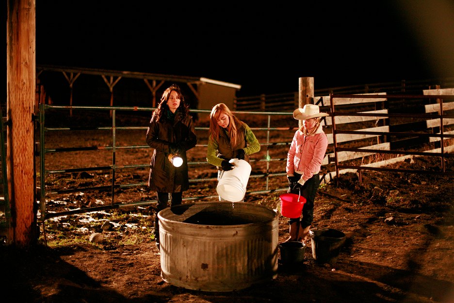 Ranč Heartland - Born to Run (S01E10) (2008) | Galéria - Z epizódy ... Ranč Heartland - Born to Run (S01E10) (2008) | Galéria - Z epizódy ...