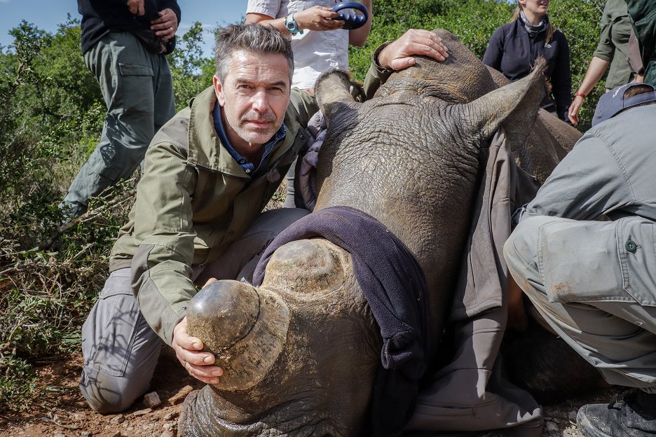 Terra X: Faszination Erde - mit Dirk Steffens: Südafrika ...