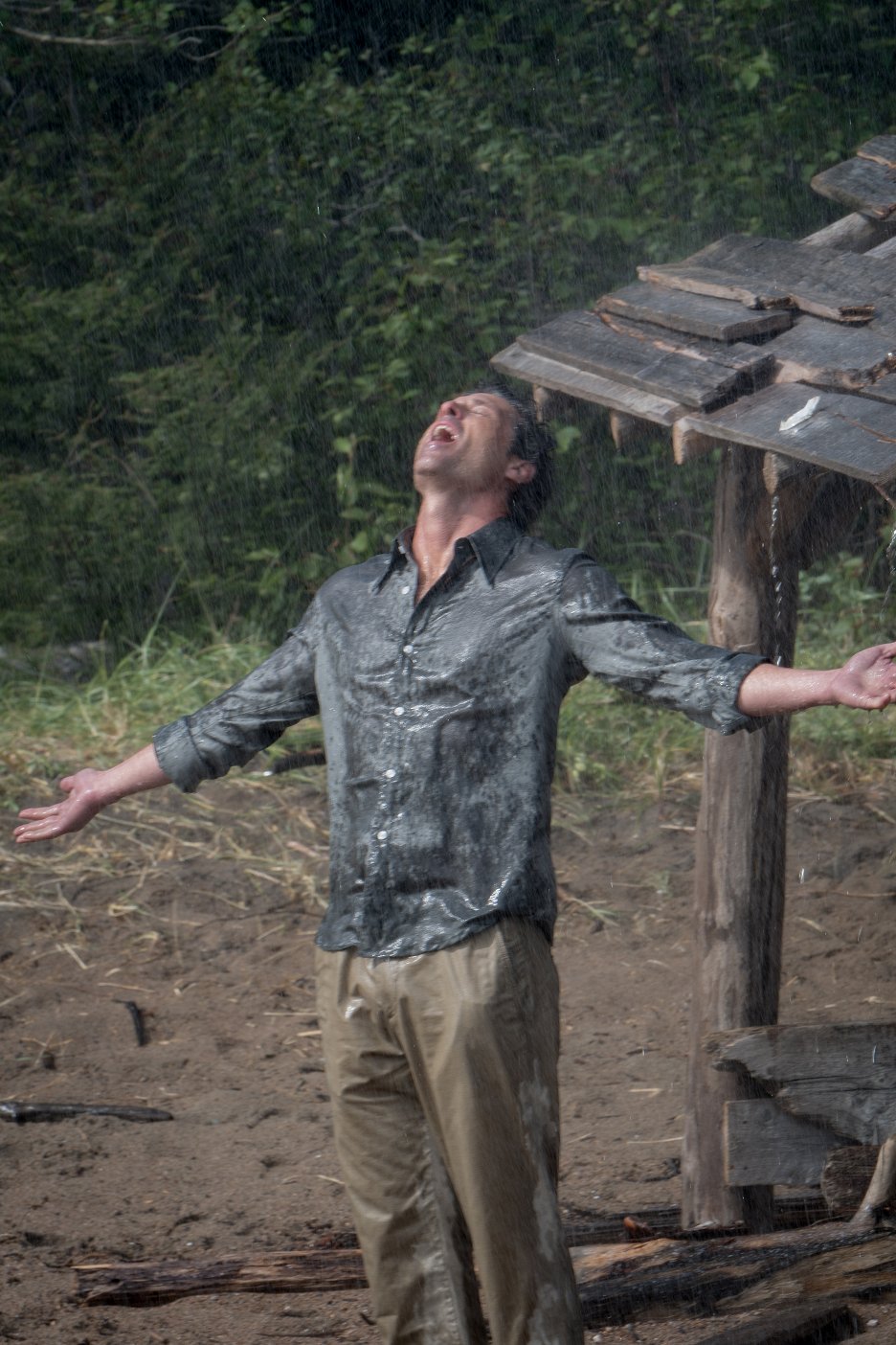 The Truth About the Harry Quebert Affair - How Does Your Garden Grow ...