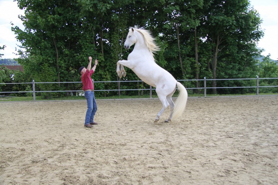 Peter Pfister - der Pferdemann (2019) | ČSFD.cz