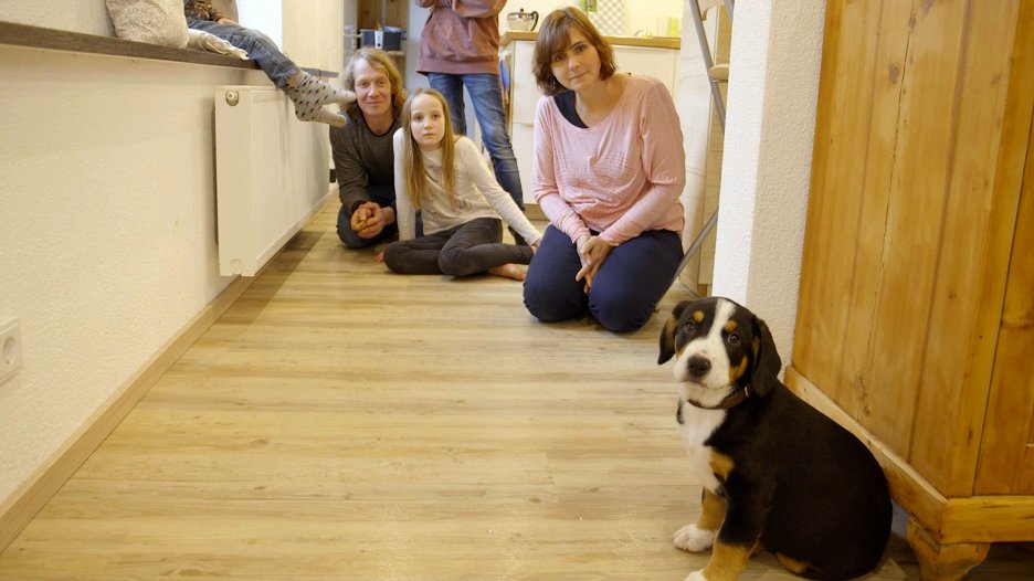 Wunderschöne Martin Rütter Welpenstube Winkel Bild