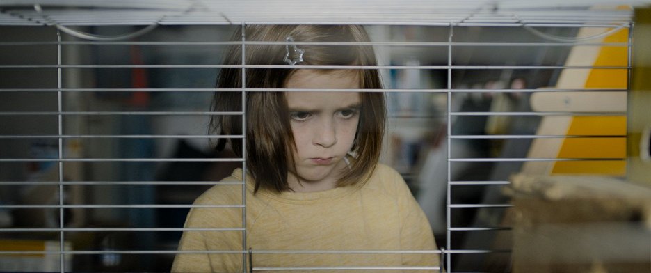 Pig Heart (2019) | ČSFD.sk