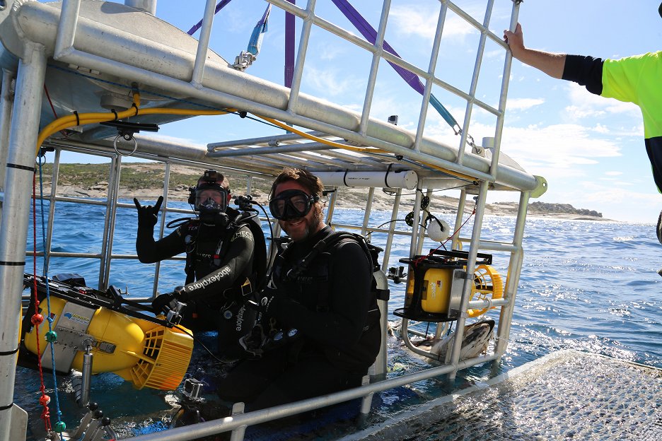 Návrat na ostrov Čelistí (2017) | ČSFD.cz