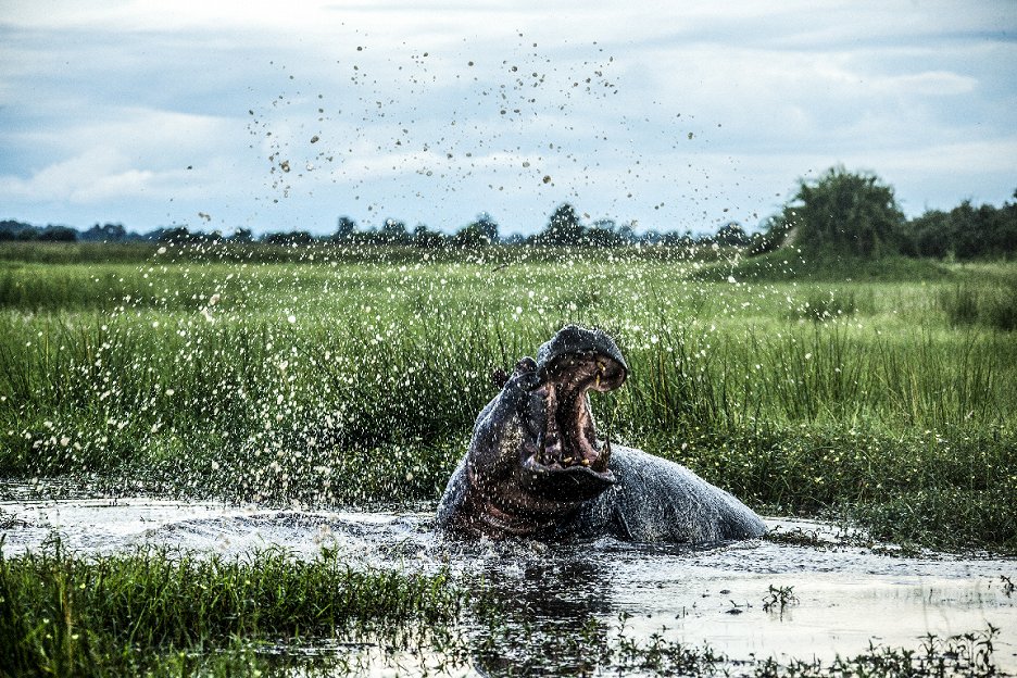 Okavango - řeka snů (2019) | ČSFD.sk