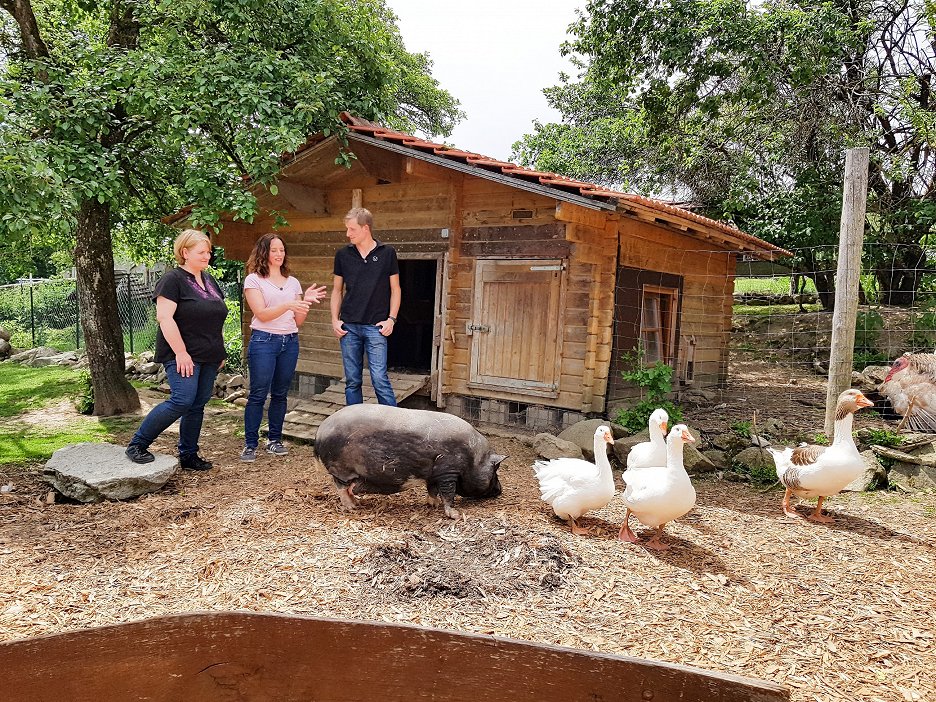 Tierisch beste Freunde - mit Kate Kitchenham (2019) | ČSFD.cz