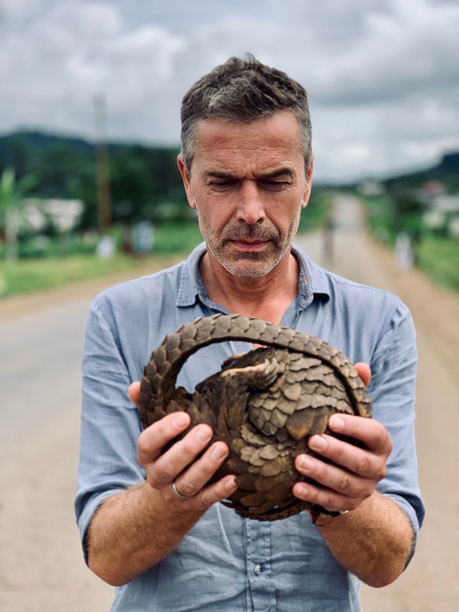 Terra X: Faszination Erde - mit Dirk Steffens: Kamerun - Ganz Afrika im ...