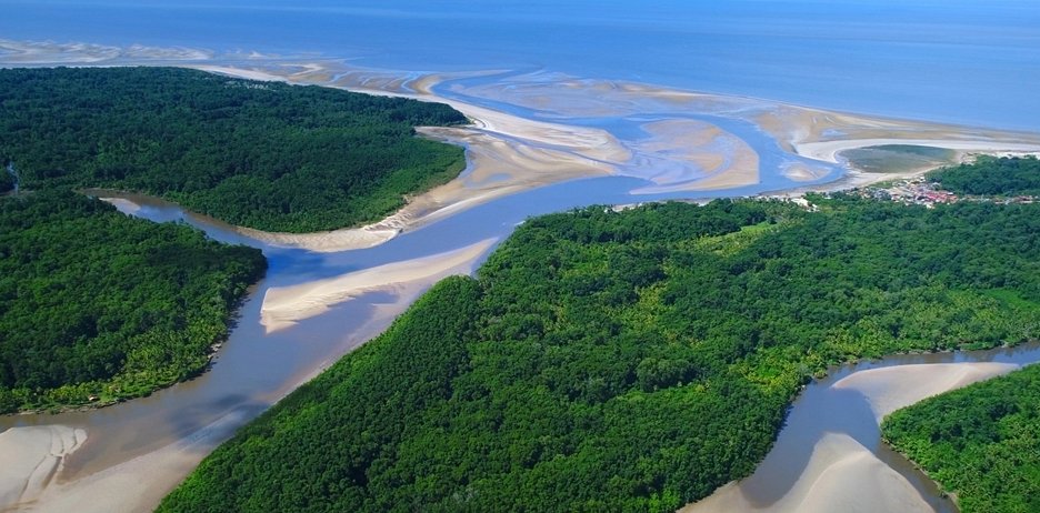 Jižní Amerika: Světadíl extrémů - Amazonka (E02) (2018) | ČSFD.cz