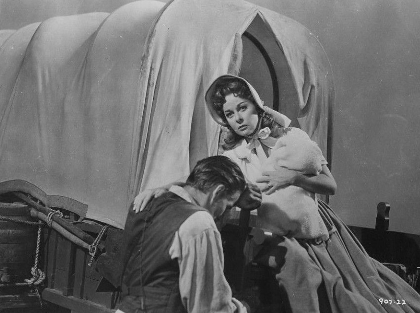 Untamed (1955) | ČSFD.cz