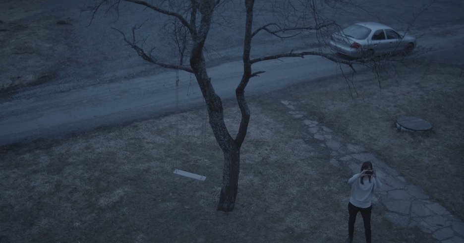 Strom ve větru (2019) | ČSFD.cz