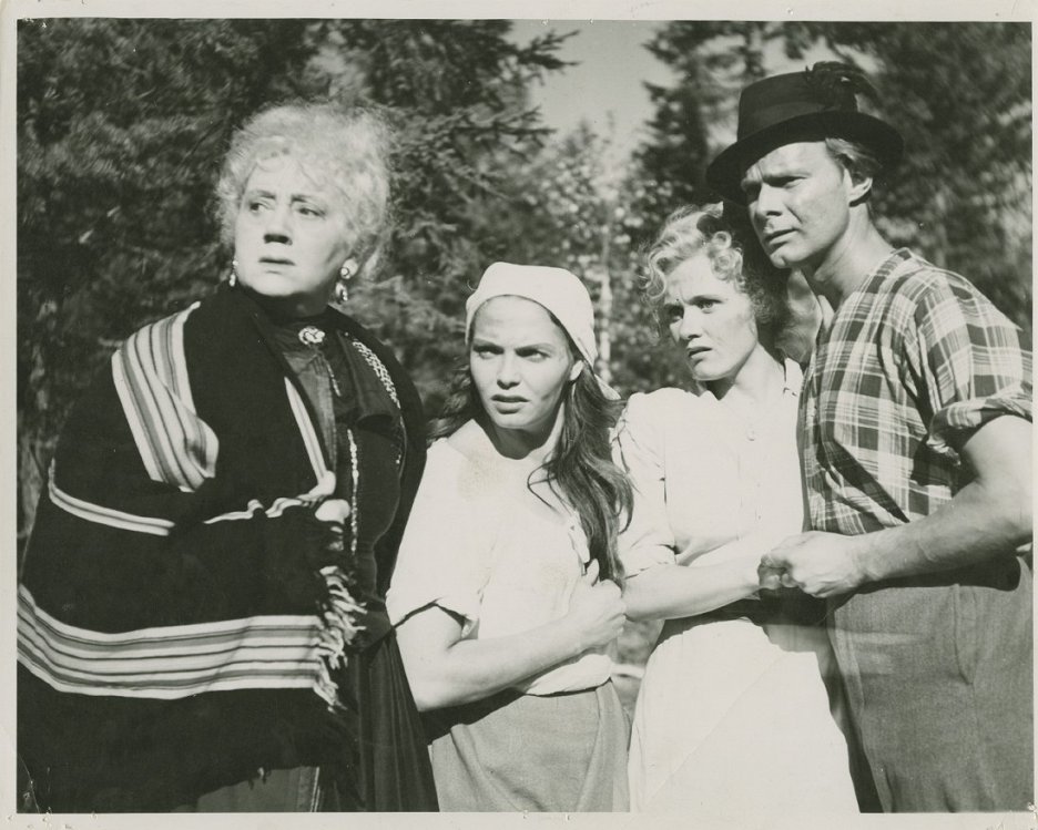 Livet i Finnskogarna (1947) | ČSFD.cz