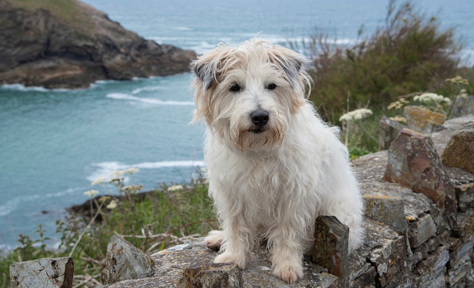 Doc Martin - So tun als ob (S09E04) (2019) | Filmemacher*innen | ČSFD.cz