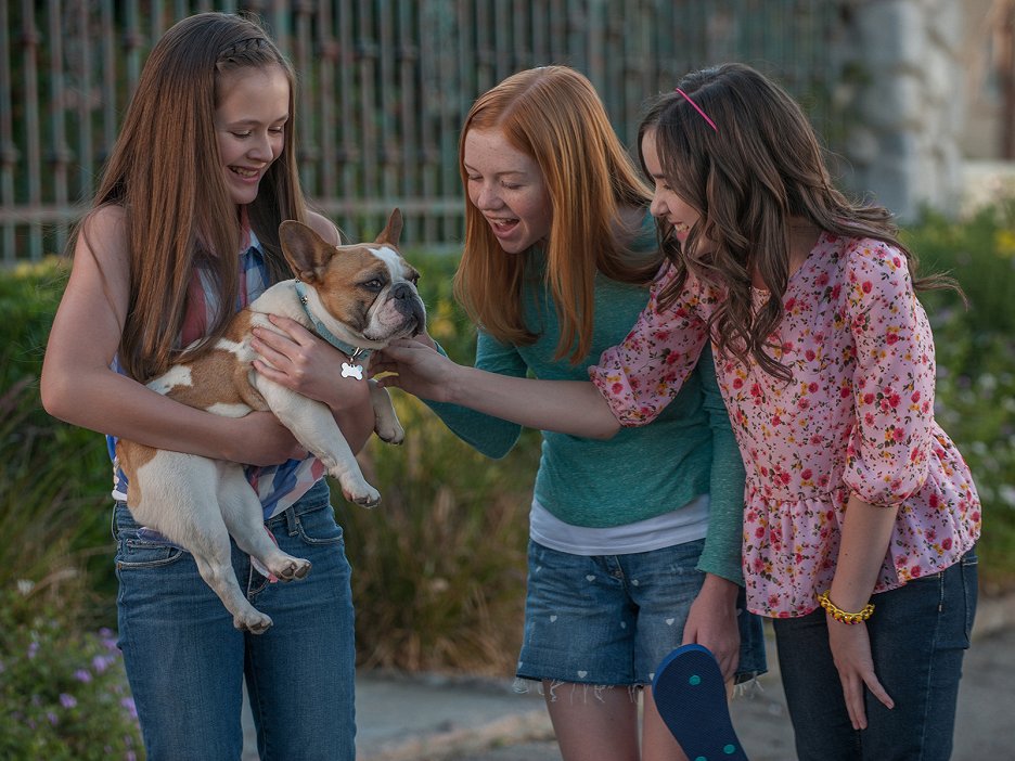 Jen špetka magie - Just Add Dogs (S01E03) (2016) | ČSFD.cz