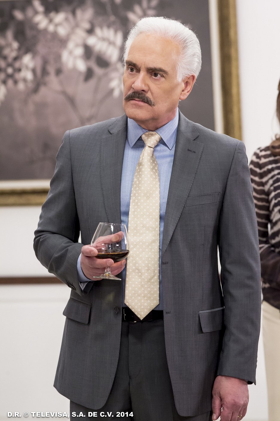 La gata (2014) | ČSFD.cz