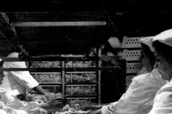 Malj (1977) | ČSFD.cz