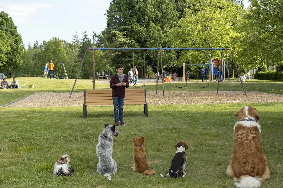 The Healing Powers of Dude - Getting to Know You (E02) (2020 ...