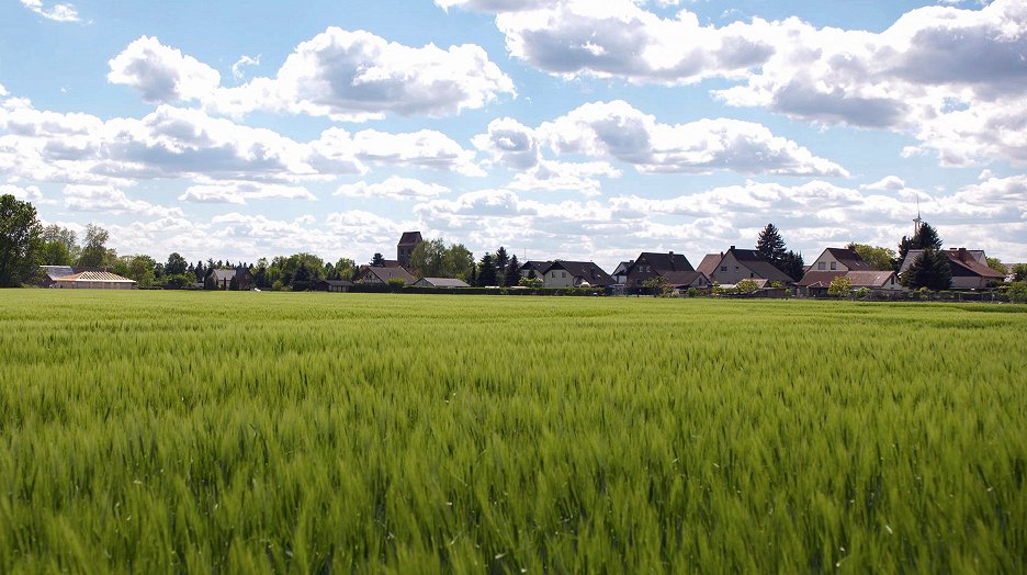Das Dorf – Landleben in der Altmark (2020) | ČSFD.cz