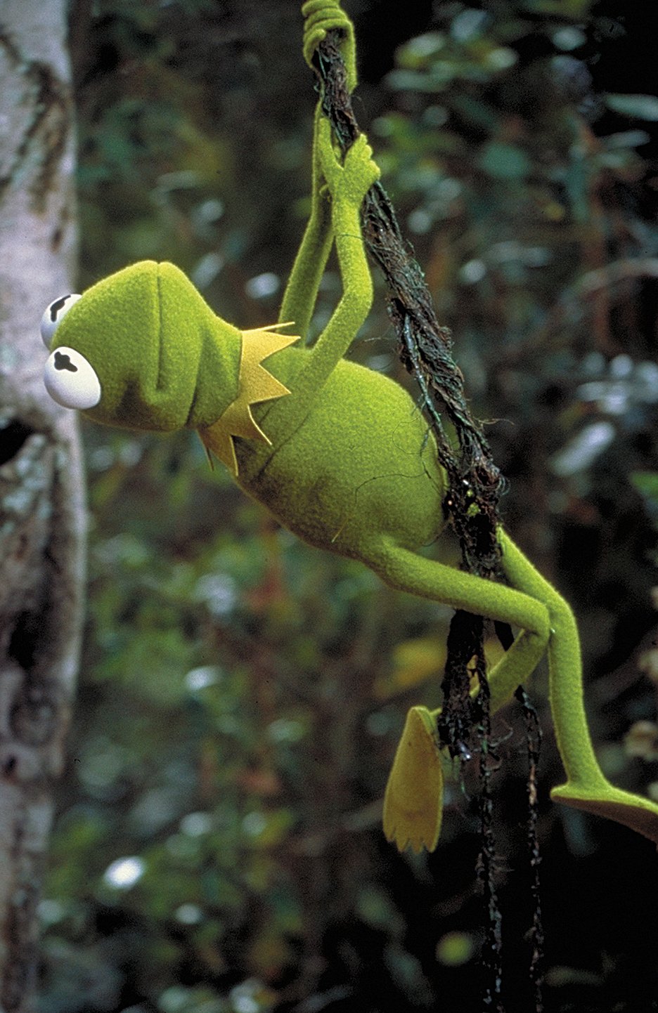Kermit's Swamp Years (2002) | ČSFD.cz