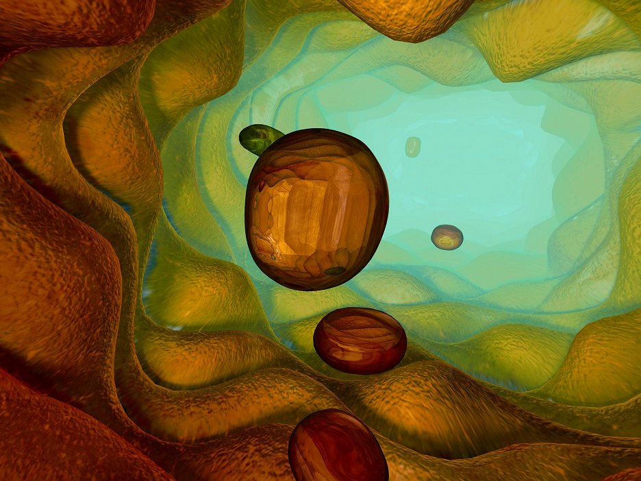 Interspace (2002) | ČSFD.cz