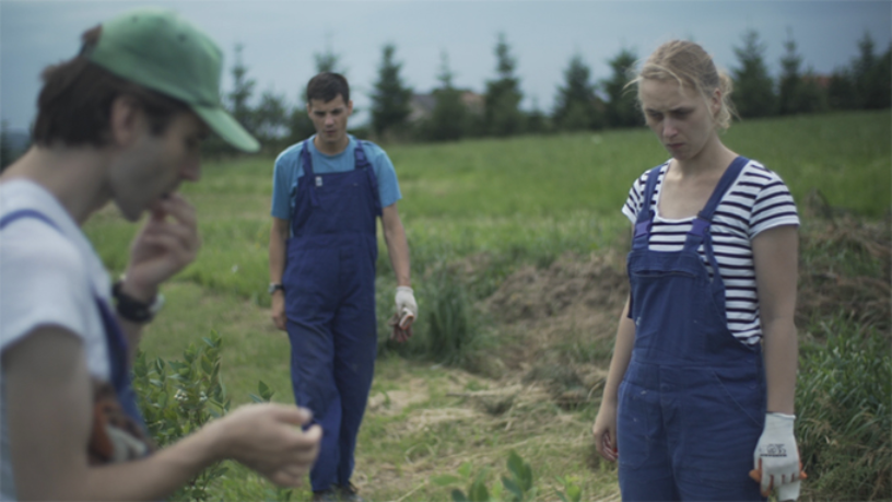 Komodští varani (2019) | ČSFD.cz