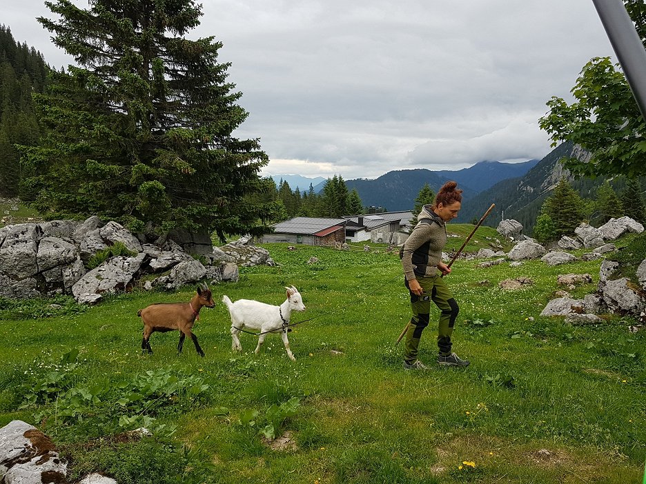 Raus aus der modernen Welt - Martinas Leben auf der Alm (2019) | ČSFD.cz